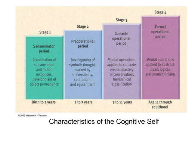 Piaget Cognitive Self | PPTX | Science
