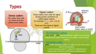 Genetic code | PPTX