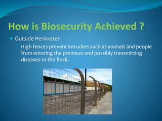 Uttara foods and feeds (bd) ltd | PPTX