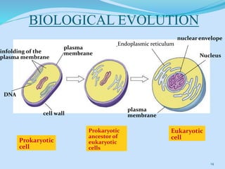 chemical evolution and biological origin of life | PPTX