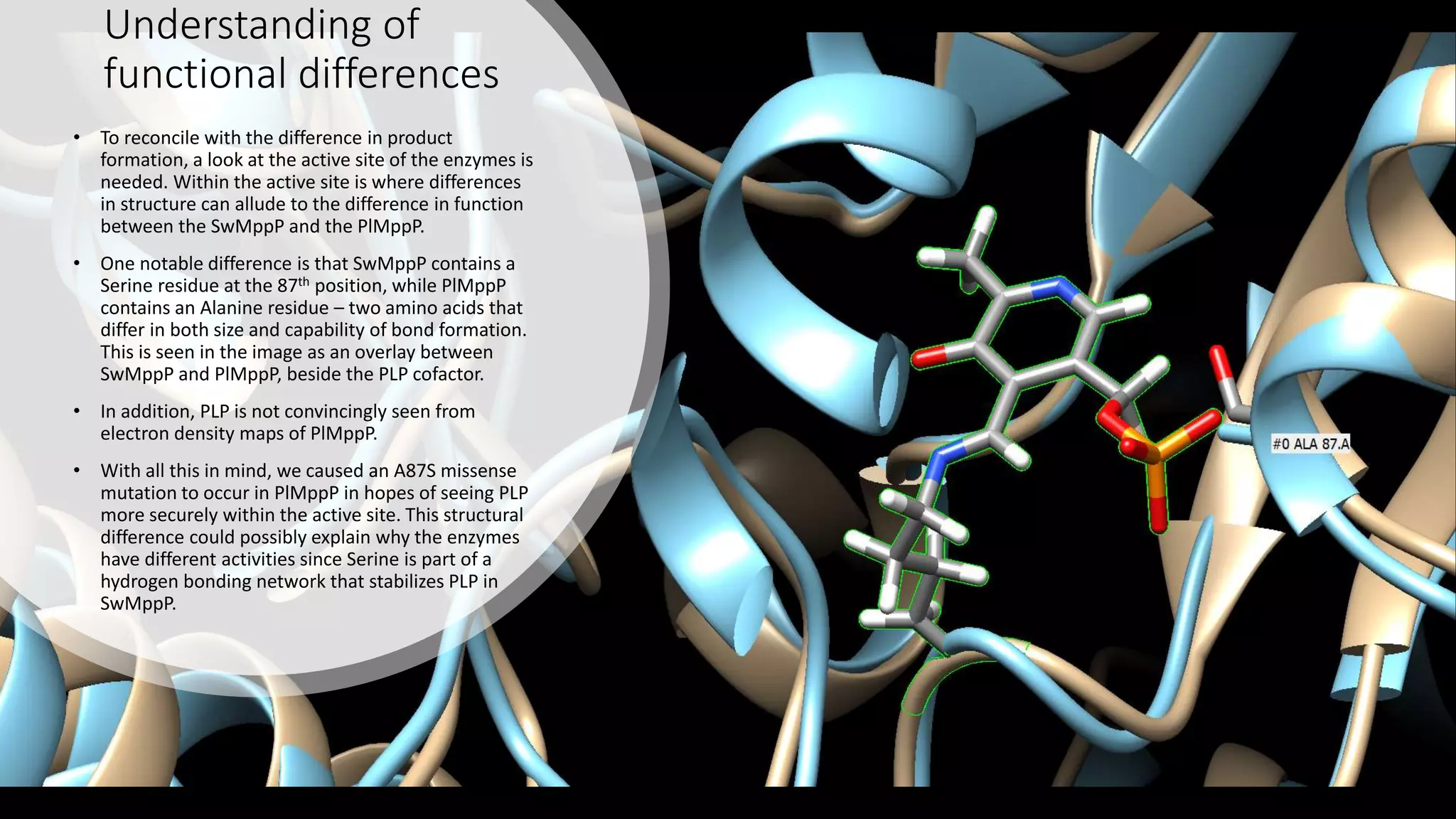 Structure-Function Relationships in the MppP Family | PPTX