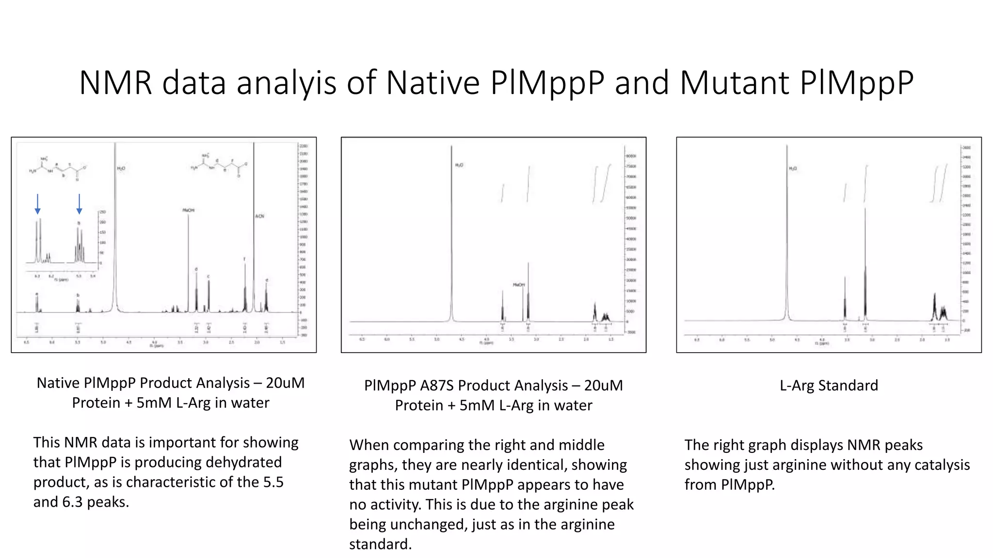 Structure-Function Relationships in the MppP Family | PPTX