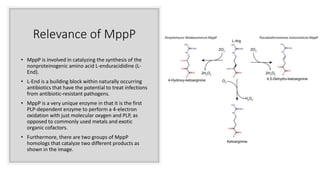 Structure-Function Relationships in the MppP Family | PPTX