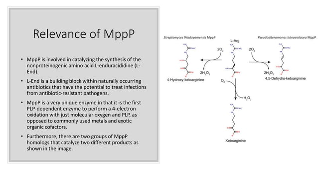 Structure-Function Relationships in the MppP Family | PPTX