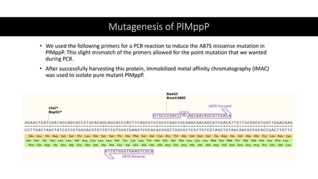Structure-Function Relationships in the MppP Family | PPTX