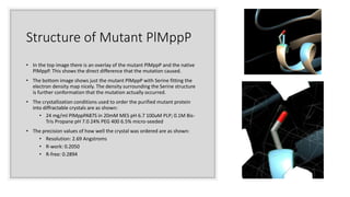 Structure-Function Relationships in the MppP Family | PPTX