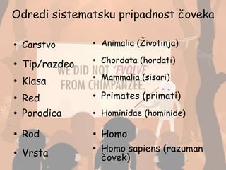 Poreklo čoveka-utvrđivanje | PPT