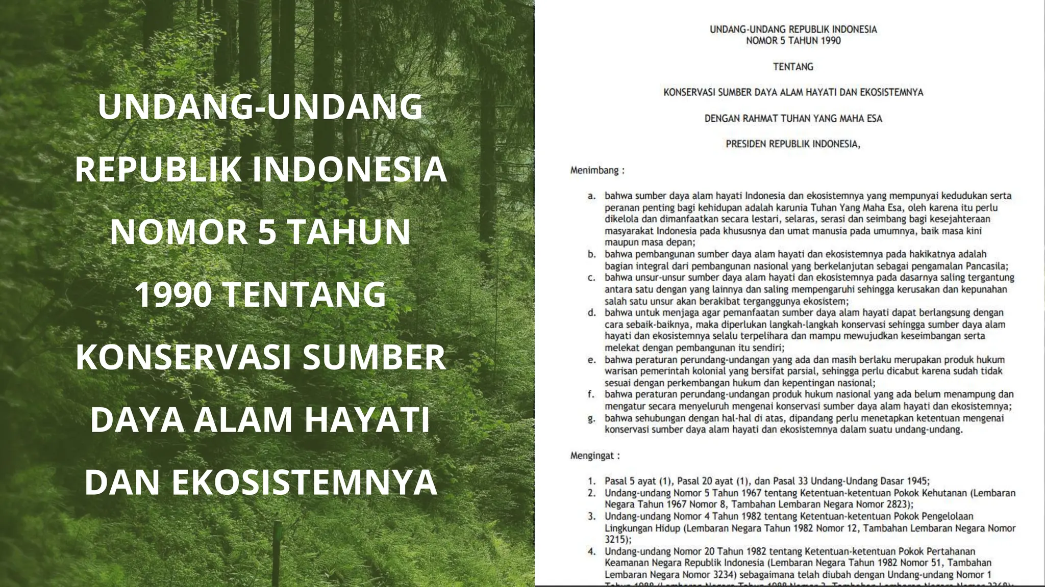 penjelasan UU no 5 tahun 1990 tentang Konservasi sumberdaya alam dan ...