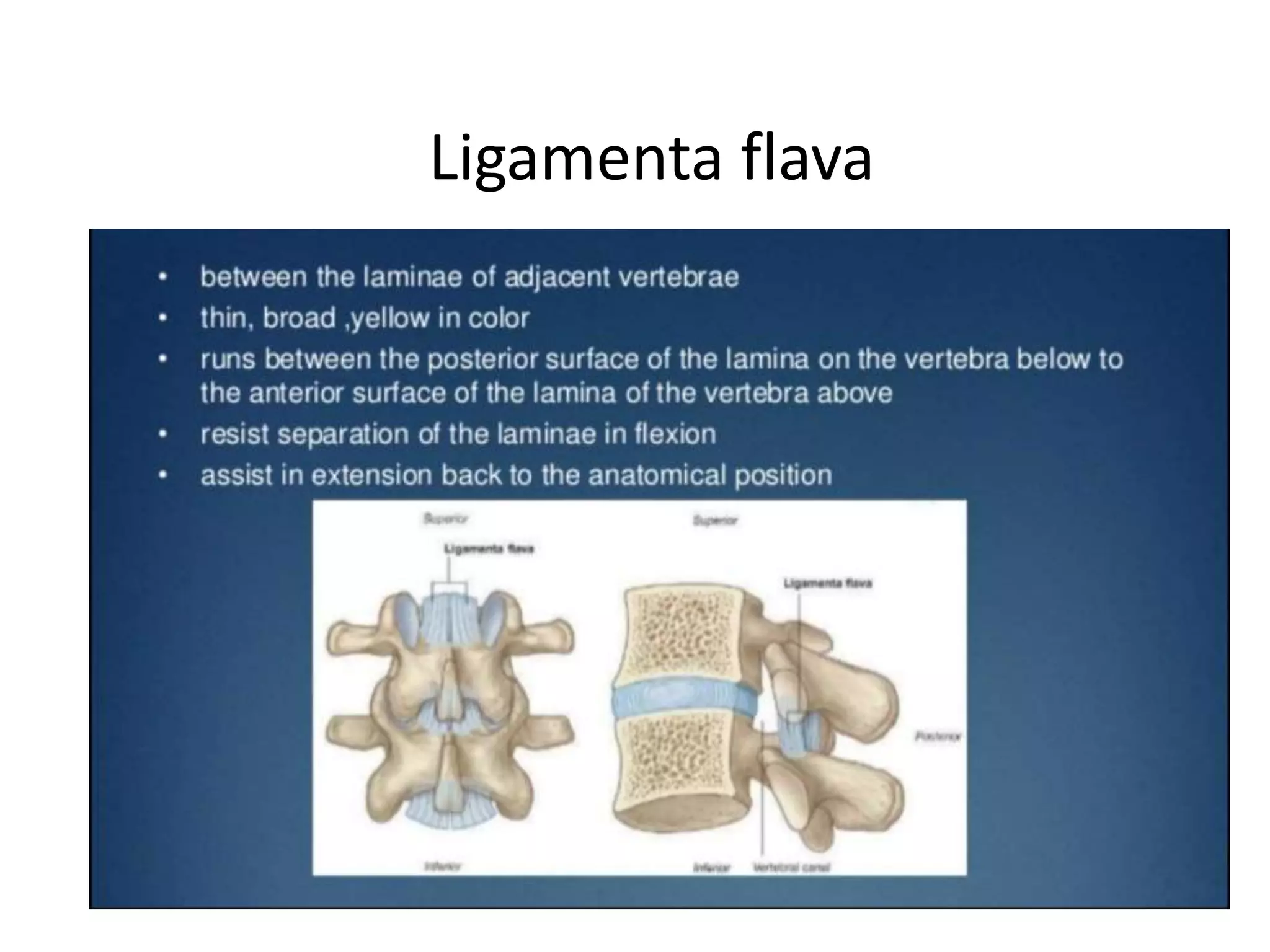 Lumbar intervertebral disc anatomy, biomechanics and pathogenesis of ...