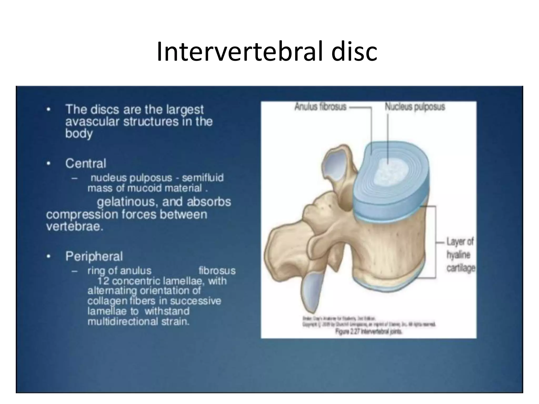 Lumbar intervertebral disc anatomy, biomechanics and pathogenesis of ...