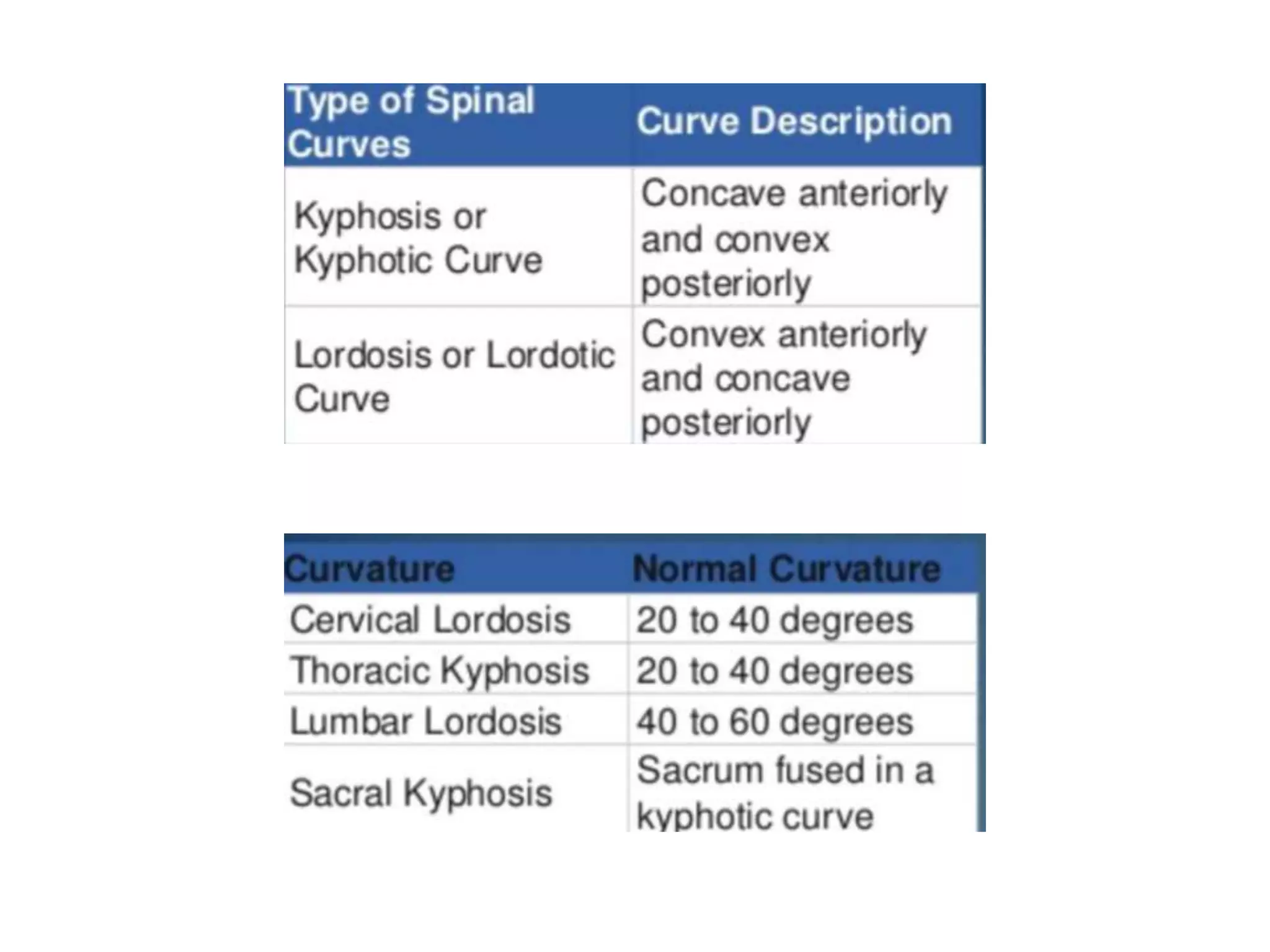 Lumbar intervertebral disc anatomy, biomechanics and pathogenesis of ...