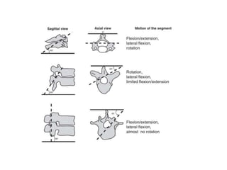 Lumbar intervertebral disc anatomy, biomechanics and pathogenesis of ...