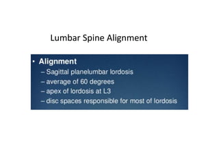 Lumbar intervertebral disc anatomy, biomechanics and pathogenesis of ...