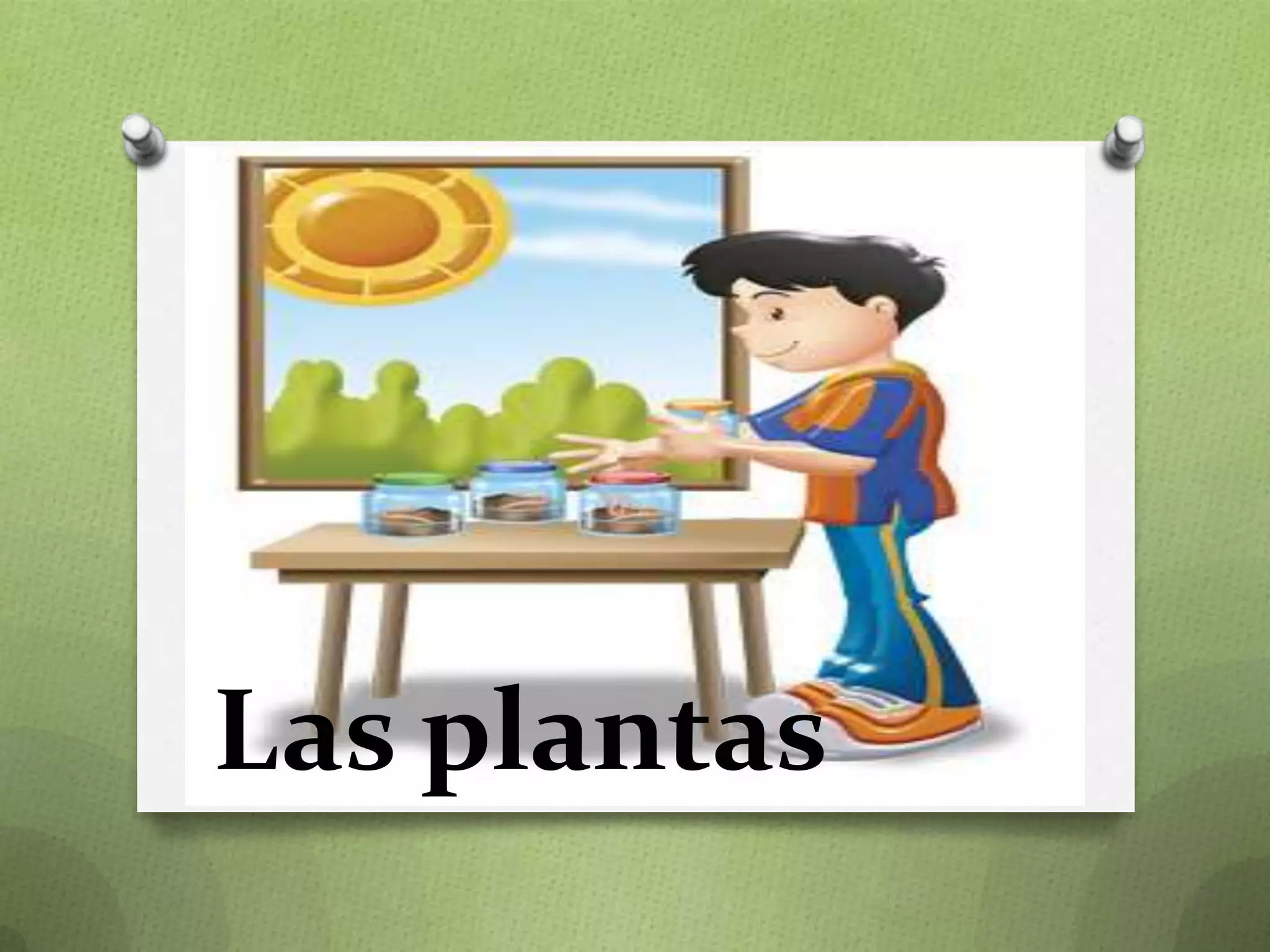 Uudd actividad. plantar semilla. | PPTX