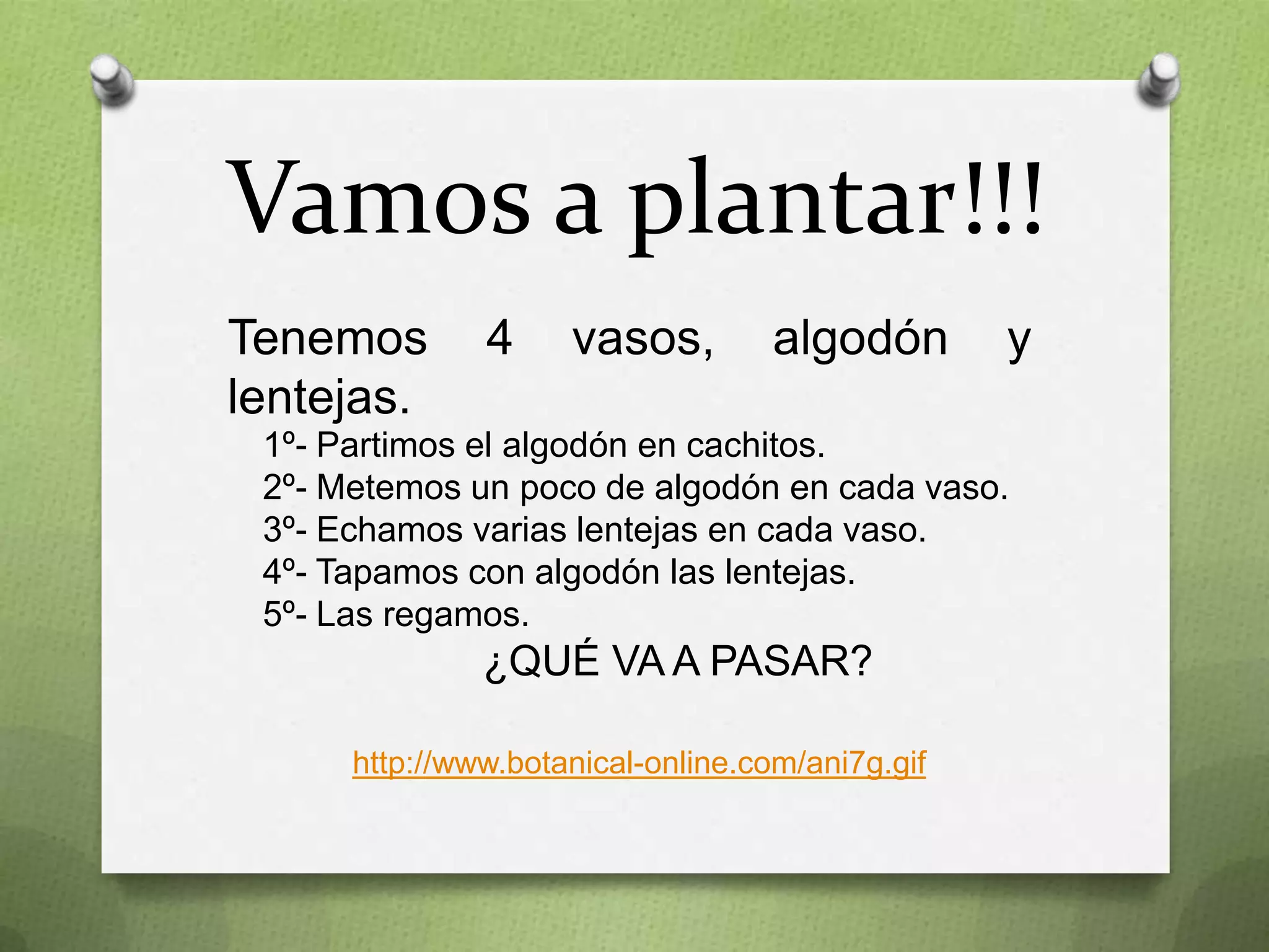 Uudd actividad. plantar semilla. | PPTX