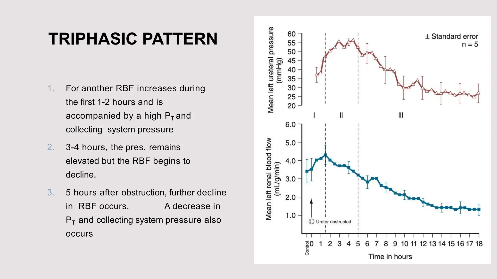 Urinary tract obstruction pathophysiology.pptx