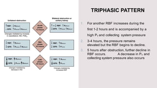 Urinary tract obstruction pathophysiology.pptx