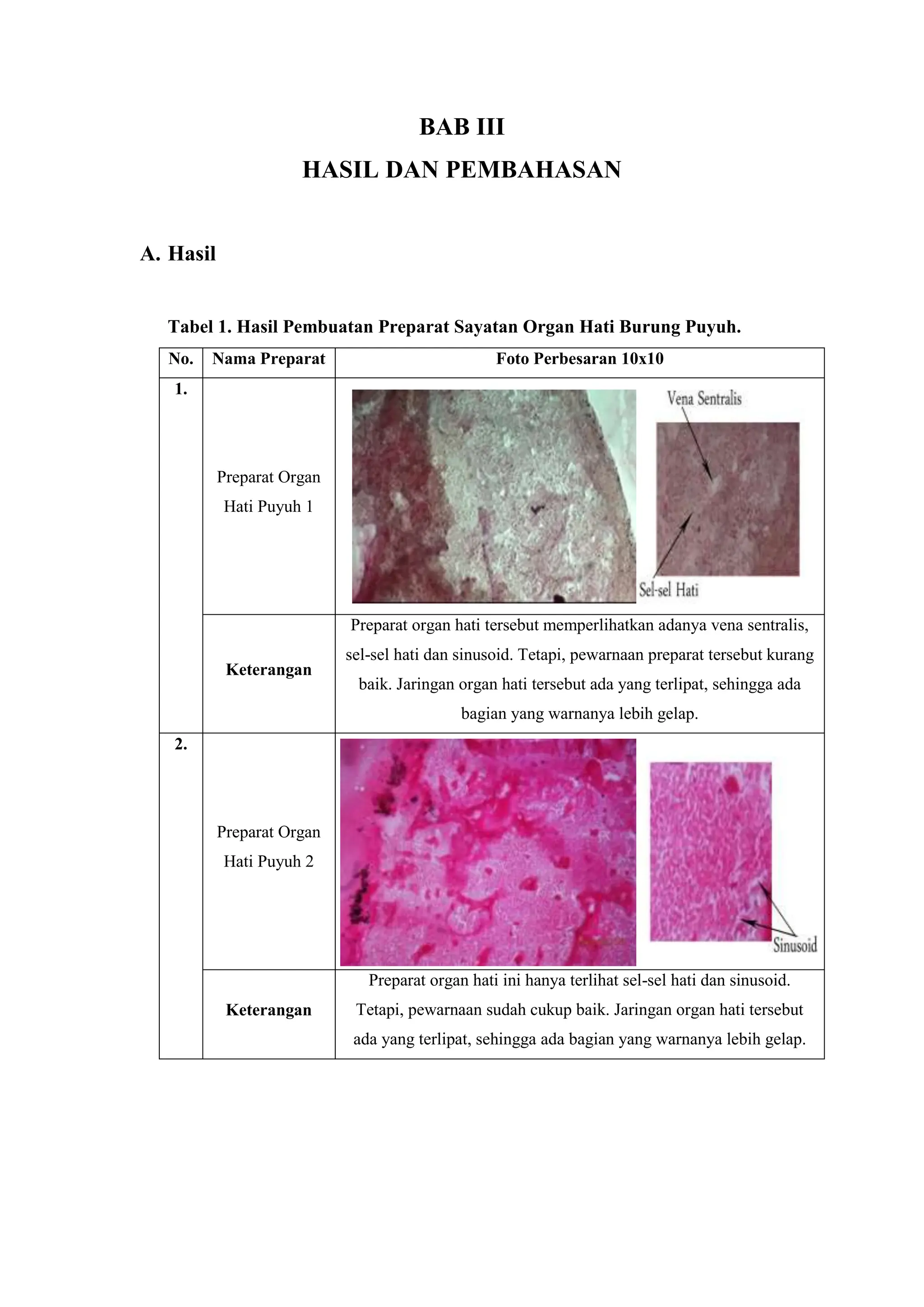 148669428-Laporan-Preparat-Sayatan-Organ-Hewan.docx