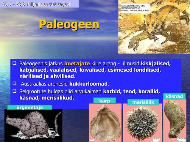 Uusaegkond | PPT