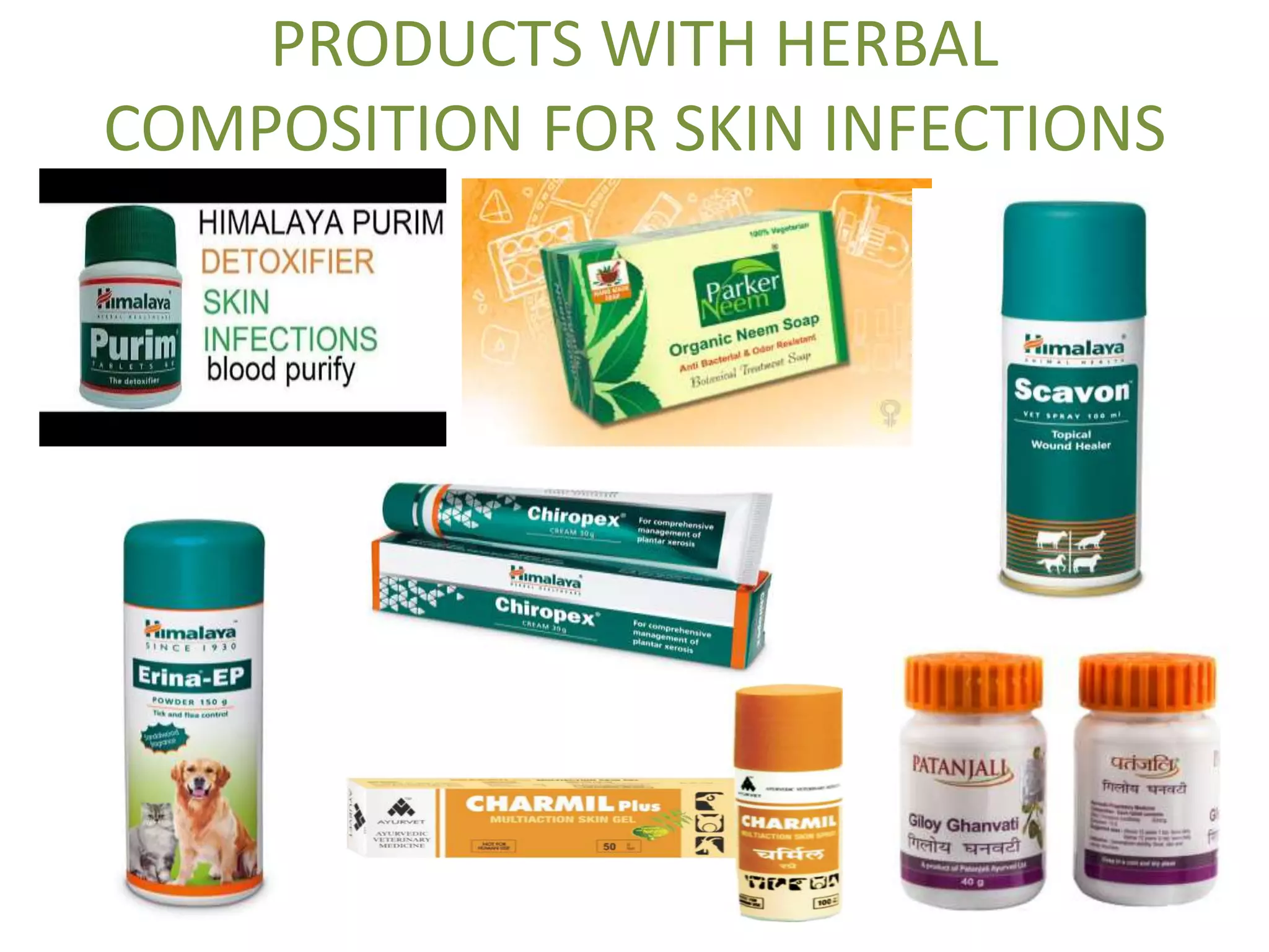 Use of herbal medicine in skin infections | PPTX