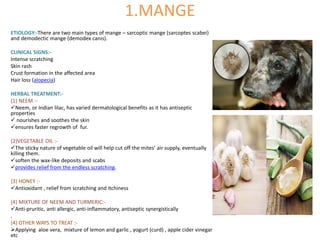 Use of herbal medicine in skin infections | PPTX