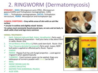 Use of herbal medicine in skin infections | PPTX