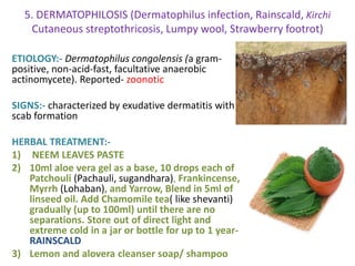 Use of herbal medicine in skin infections | PPTX