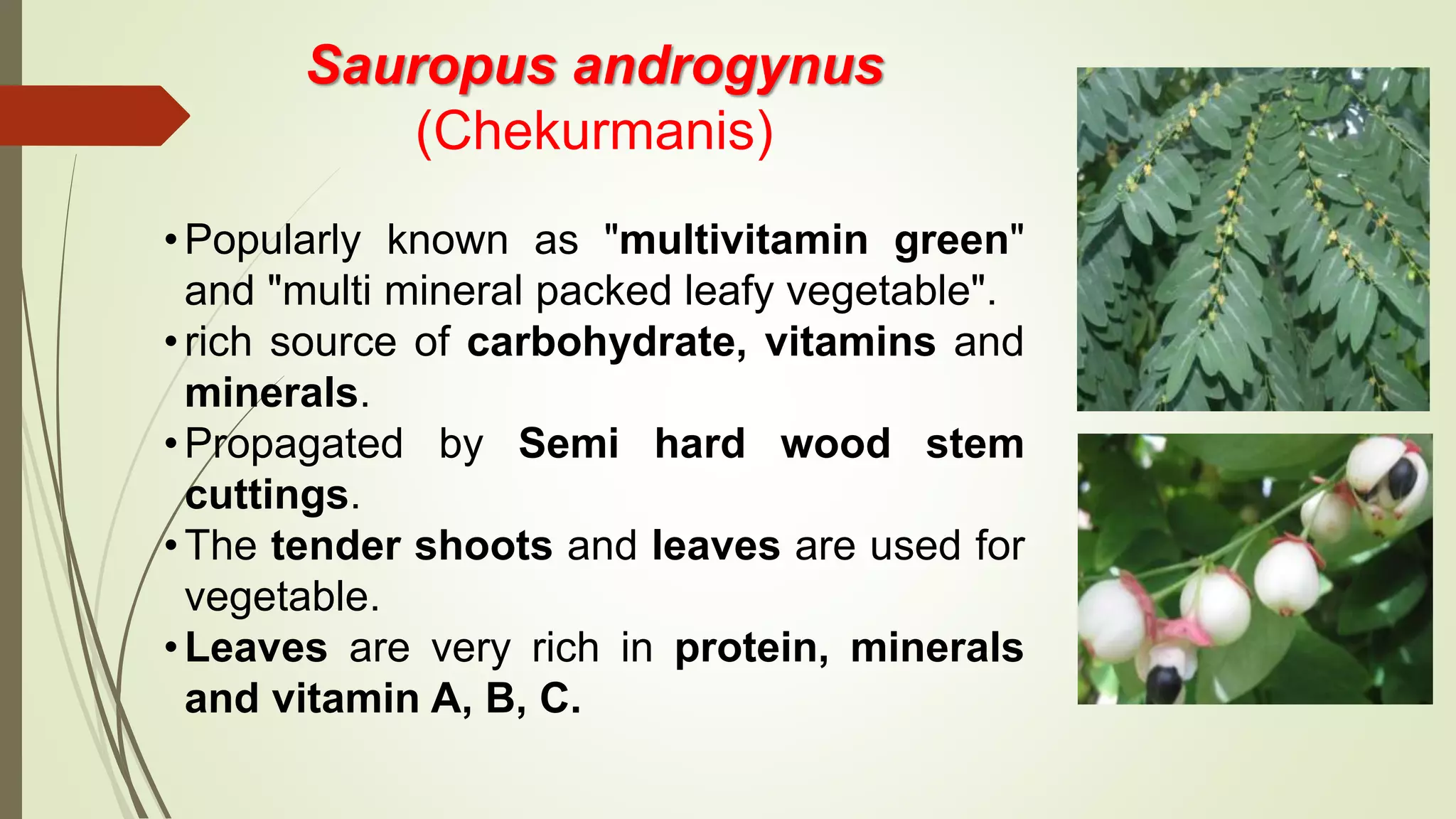 Underutilized Vegetable Crops | PPTX