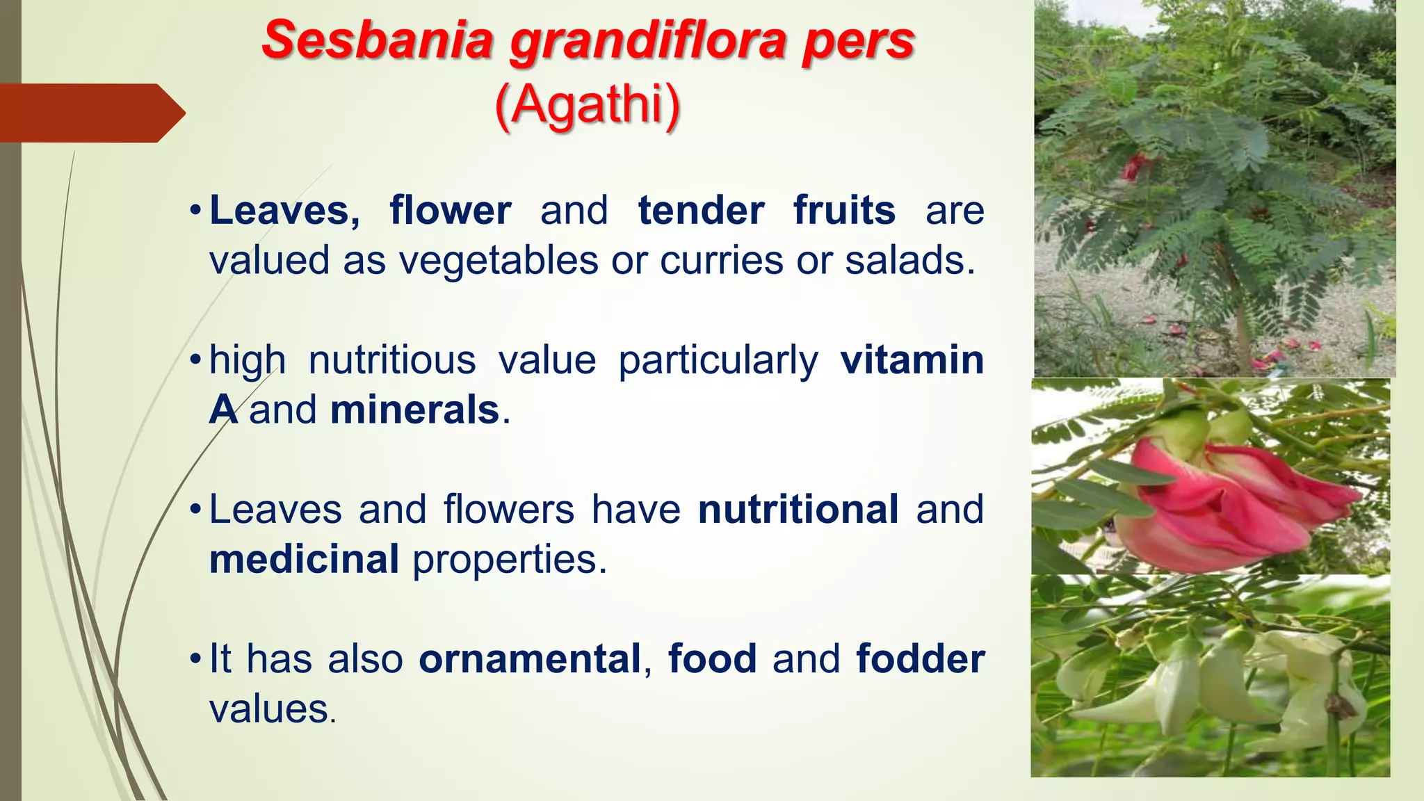 Underutilized Vegetable Crops | PPTX