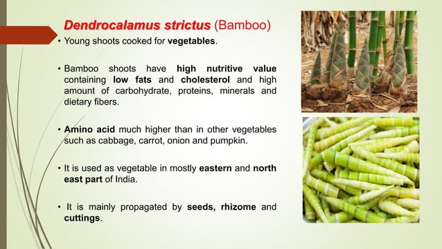 Underutilized Vegetable Crops | PPTX