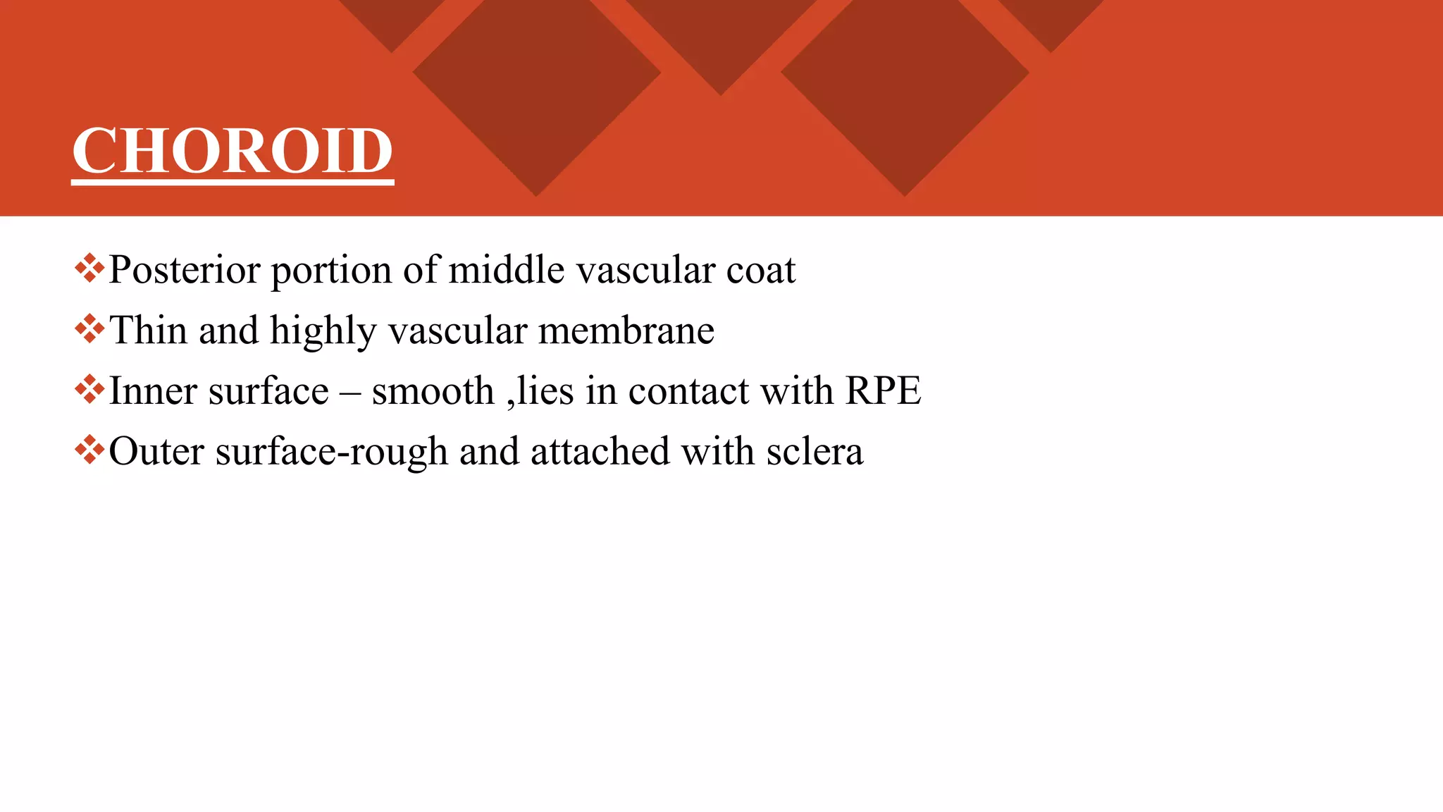 Anatomy and Physiology of Uvea | PPTX