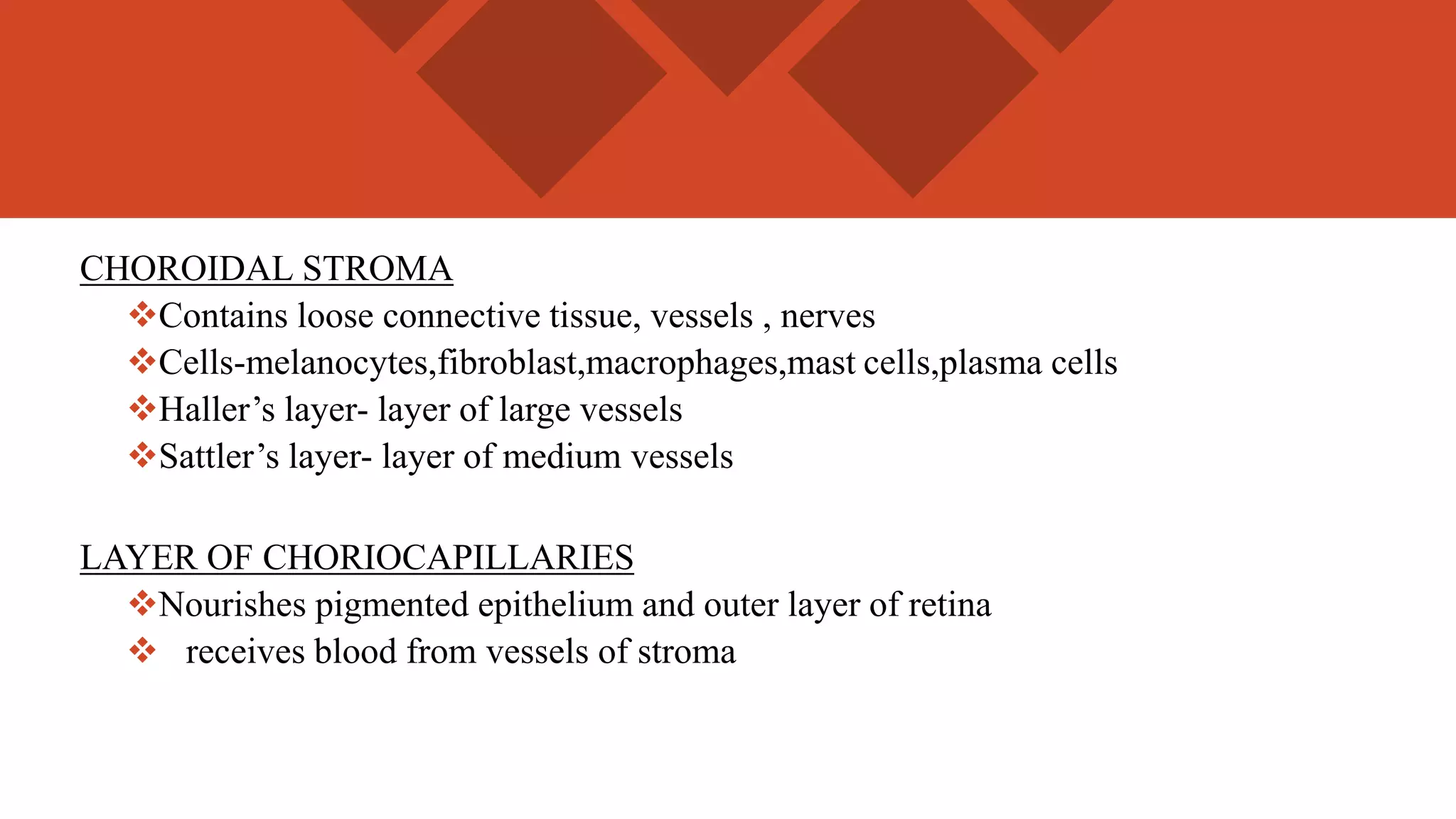 Anatomy and Physiology of Uvea | PPTX