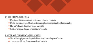 Anatomy and Physiology of Uvea | PPTX