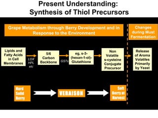 Uv radiation-and-molecular-effects | PPT
