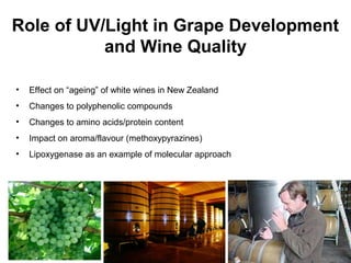 Uv radiation-and-molecular-effects | PPT
