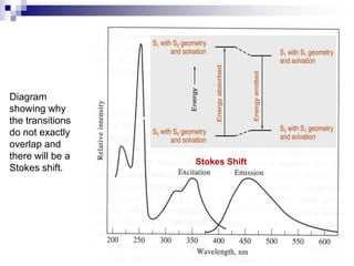 UV-Vis molecular absorption spectroscopy- BSc-Lect 5.pdf