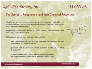 Red Wine Therapy Slide Show | PPTX