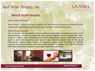 Red Wine Therapy Slide Show | PPTX