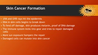 Uv b radiation | PPTX