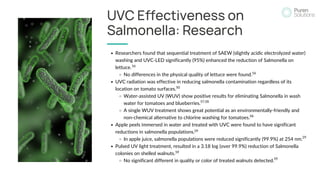 UVC & Food Processing | PDF