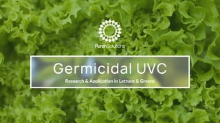 UVC & Lettuce Processing | PPT