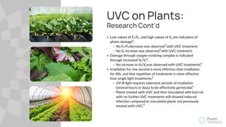 UVC & Lettuce Processing | PPT