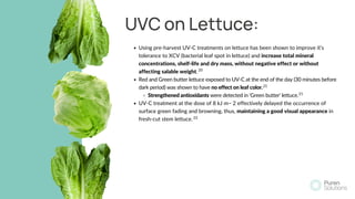 UVC & Lettuce Processing | PPT