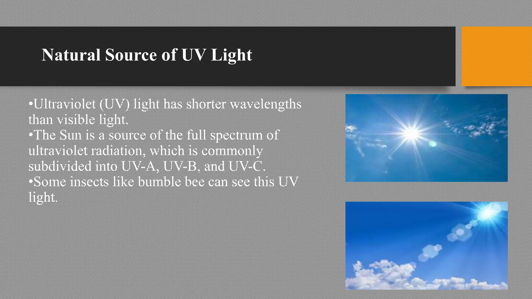 UV Curable Coating.pptx