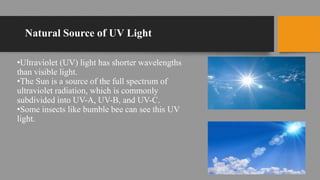 UV Curable Coating.pptx