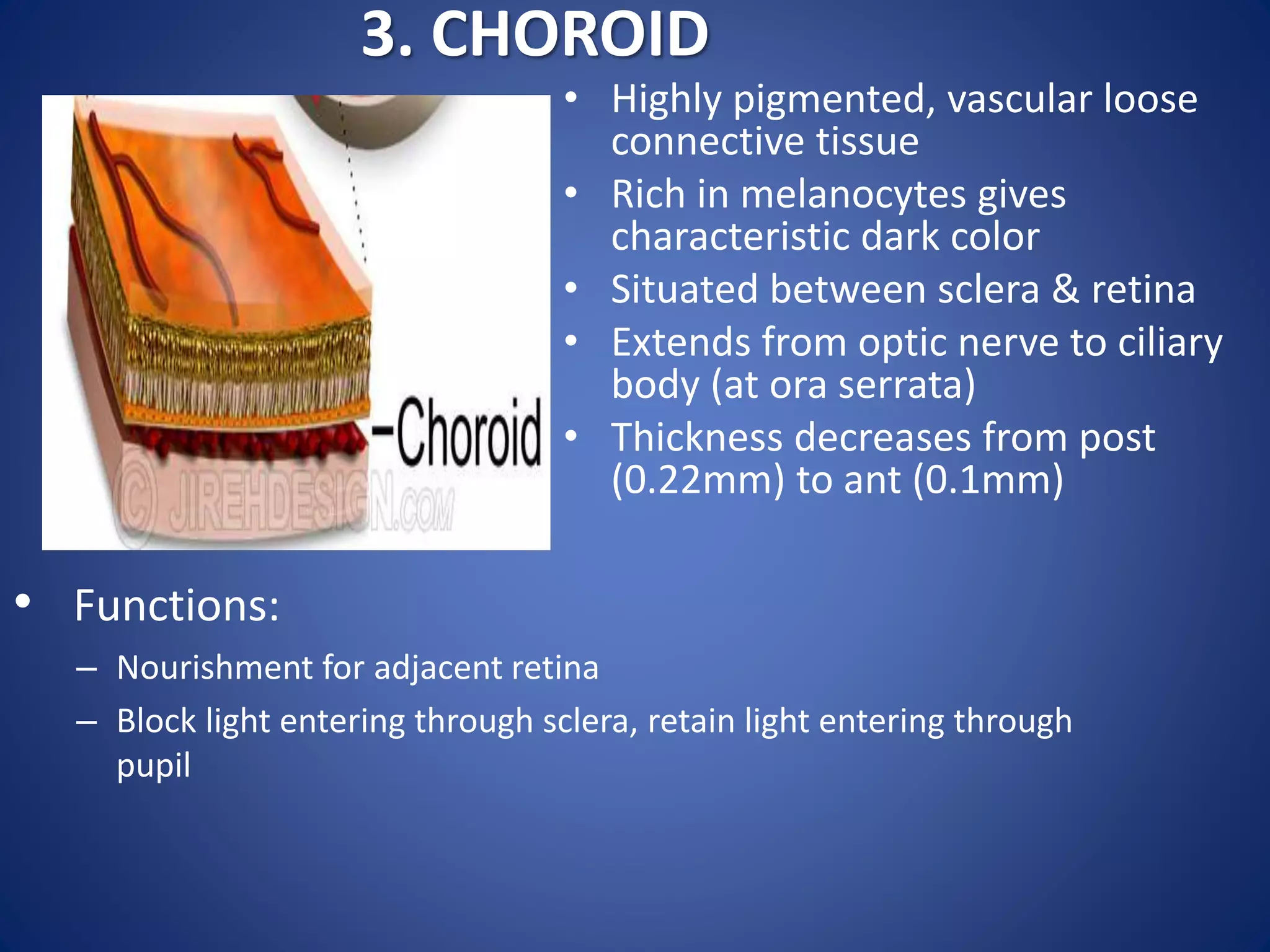 Anatomy of Uvea track | PPTX