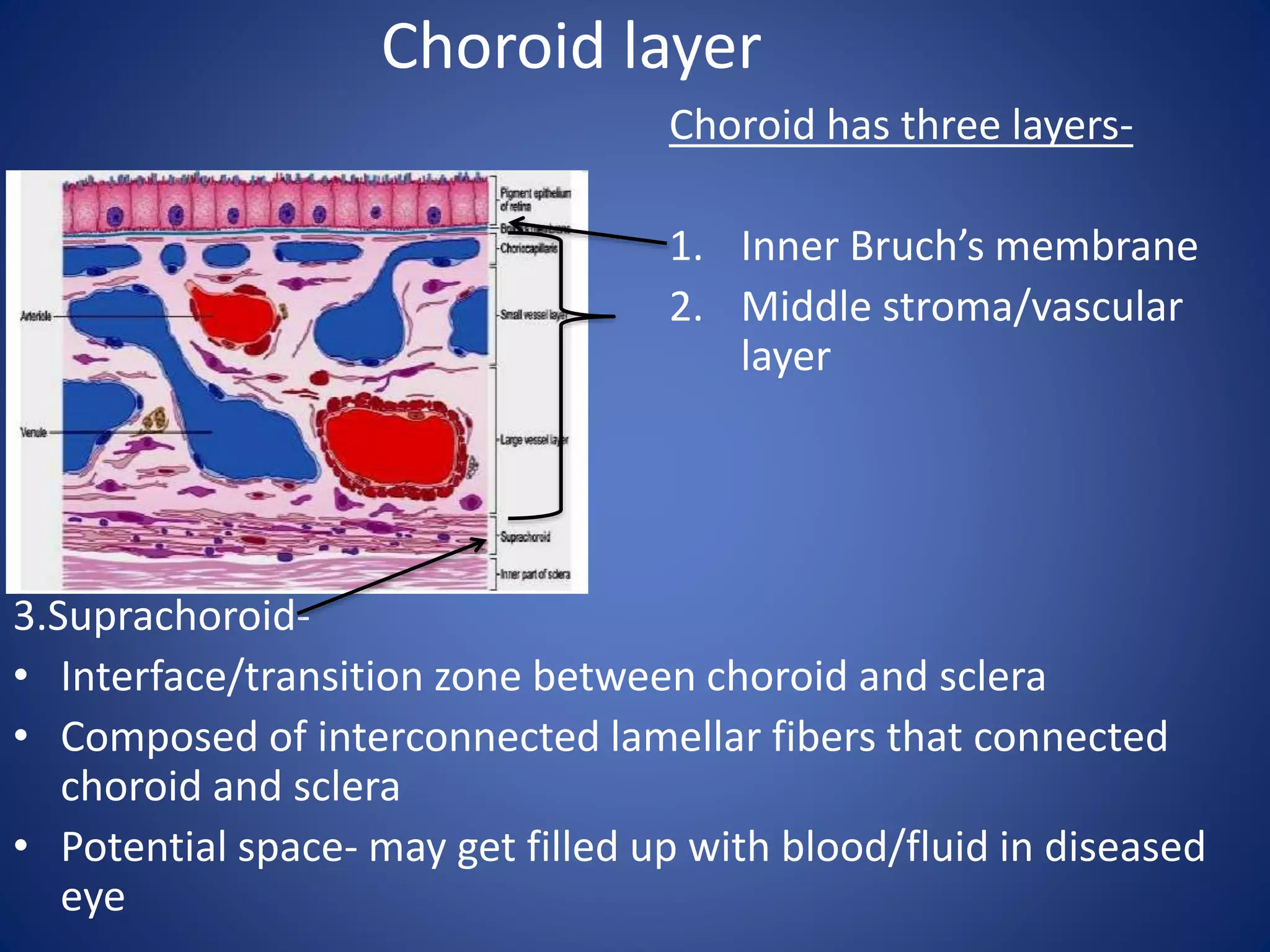 Anatomy of Uvea track | PPTX