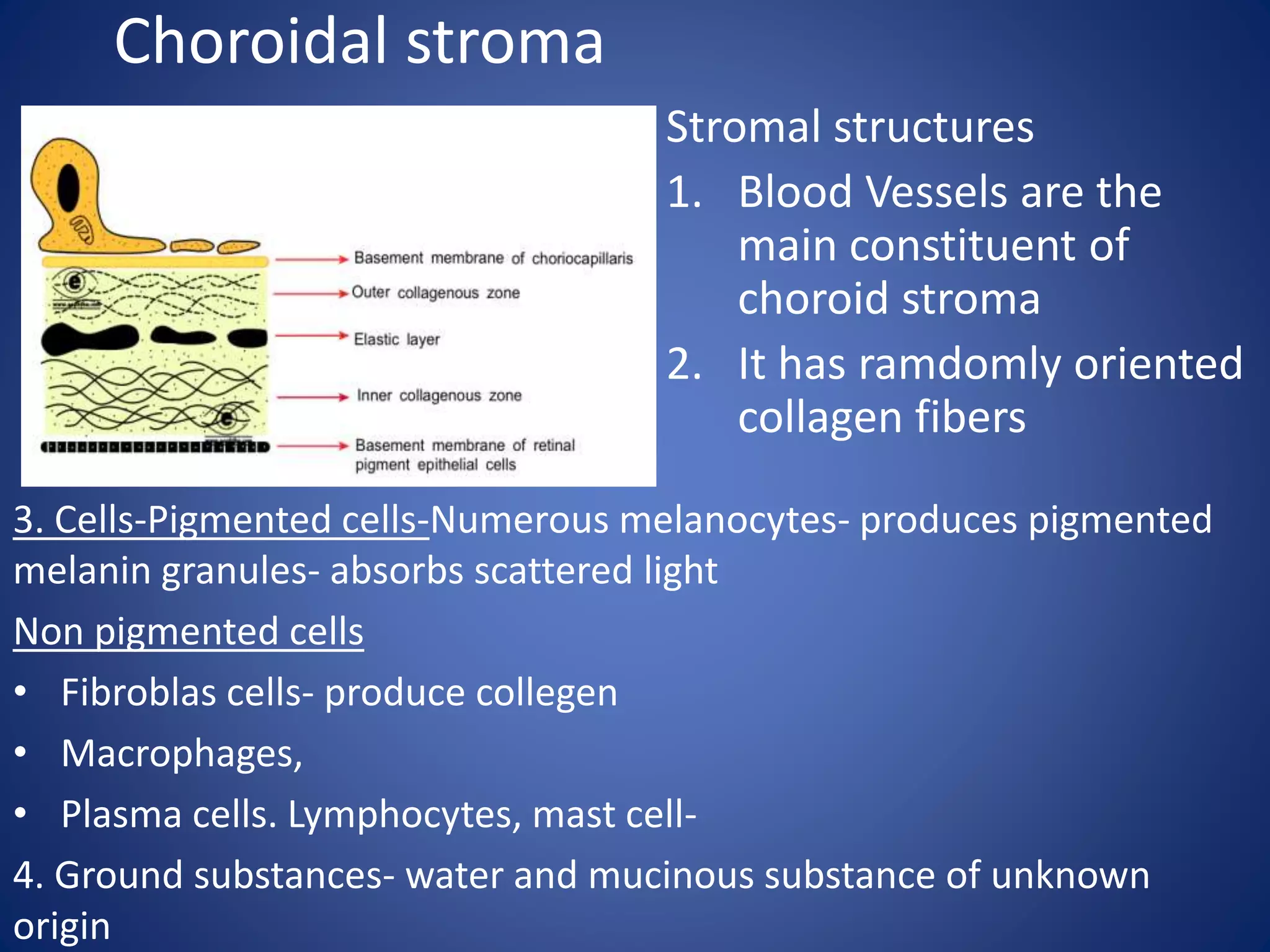 Anatomy of Uvea track | PPT