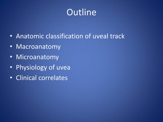 Anatomy of Uvea track | PPTX