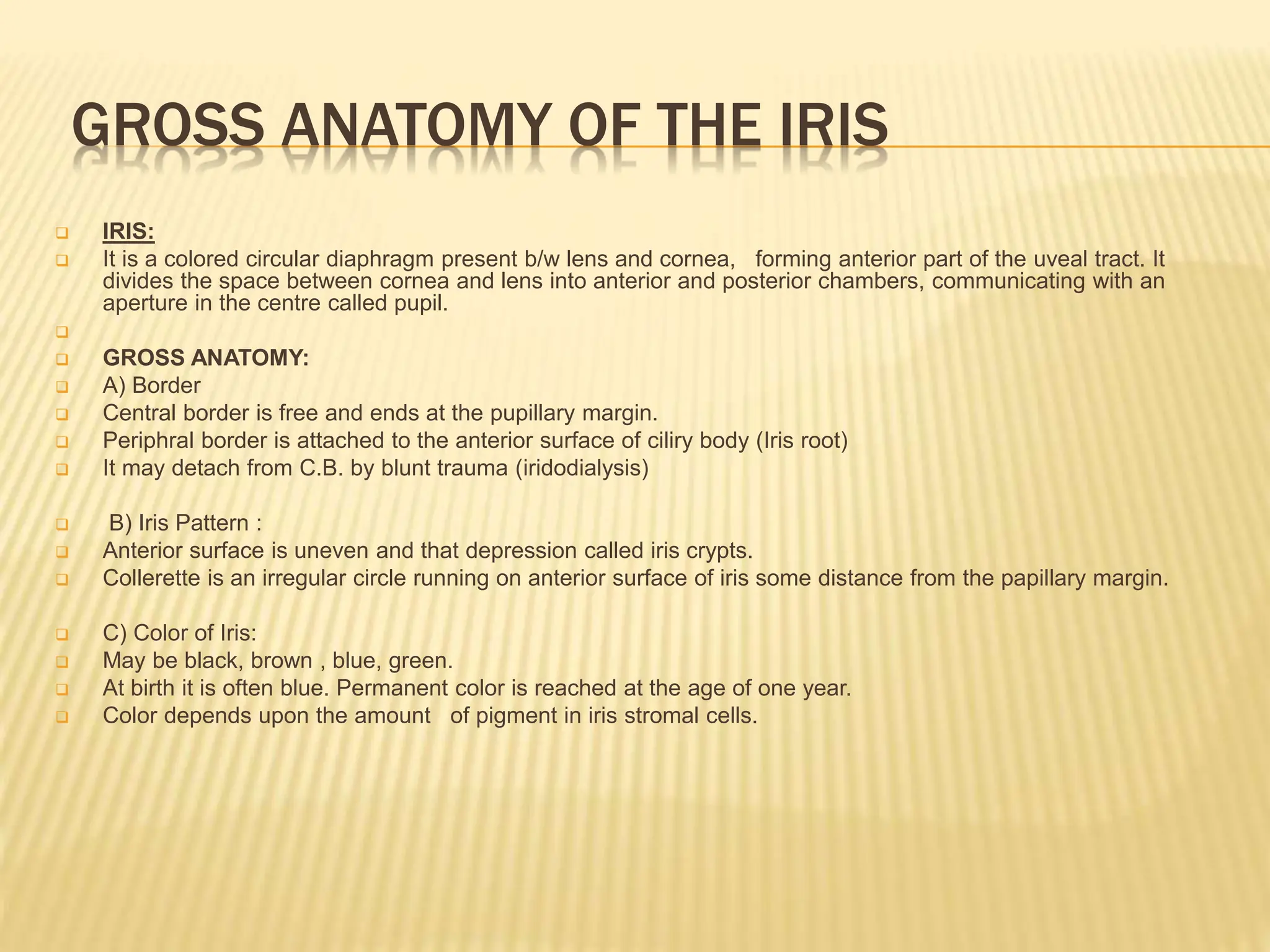 this ppt cover the anatomy of uveal tract | PPTX
